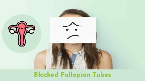 Blocked Fallopian Tubes - Causes, Symptoms & Treatment | ONP Hospitals